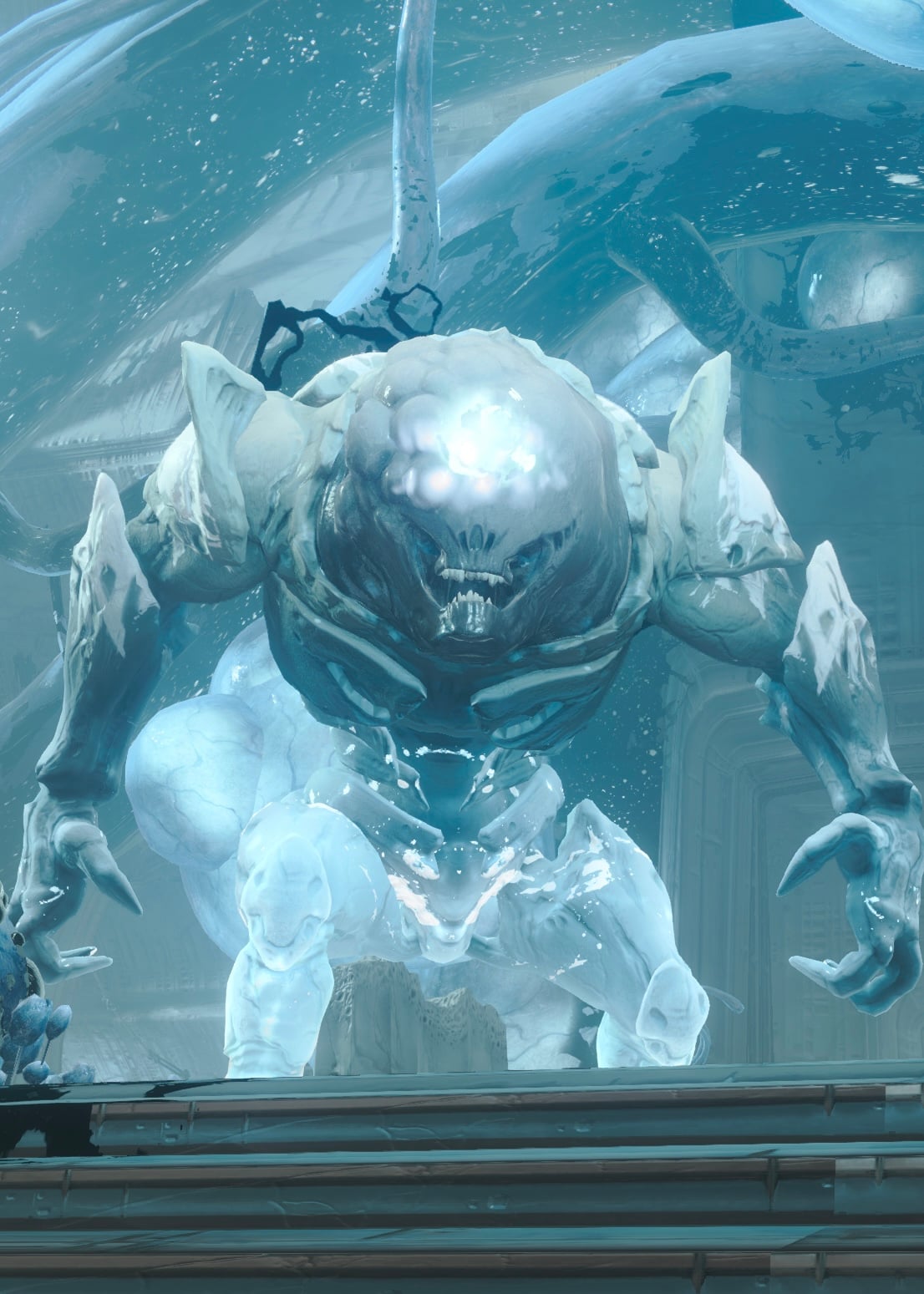 Warden Dorodoth - Destinypedia, the Destiny wiki