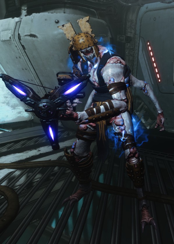 Corrupted Raider - Destinypedia, the Destiny wiki
