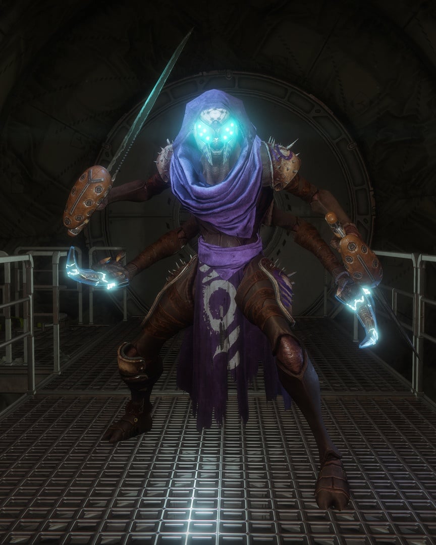 Marauder - Destinypedia, the Destiny wiki