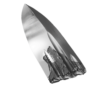 Radegast's Blade - Destinypedia, the Destiny wiki