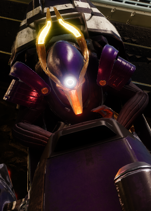 Interceptor Pilot - Destinypedia, the Destiny wiki