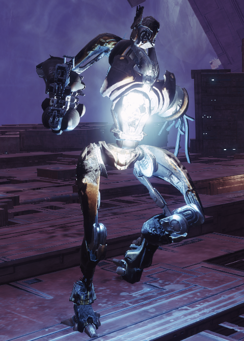 Finalizer - Destinypedia, the Destiny wiki