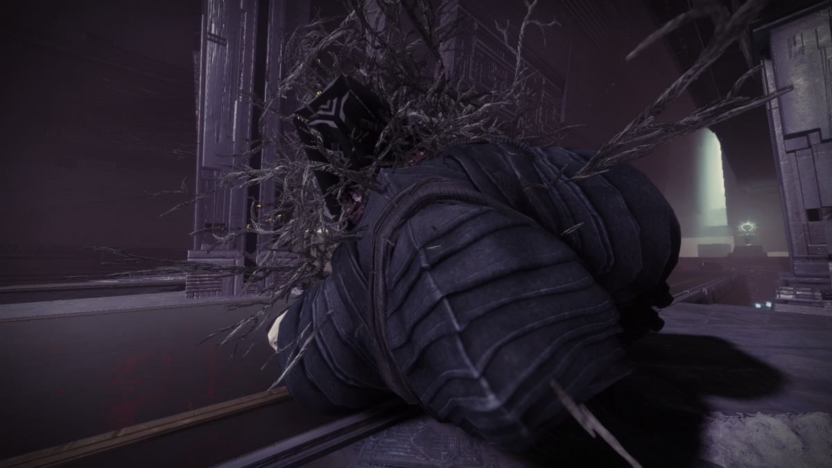 File:Caretaker Corpse Close.png - Destinypedia, the Destiny wiki