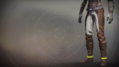 Icarus Drifter - Destinypedia, the Destiny wiki