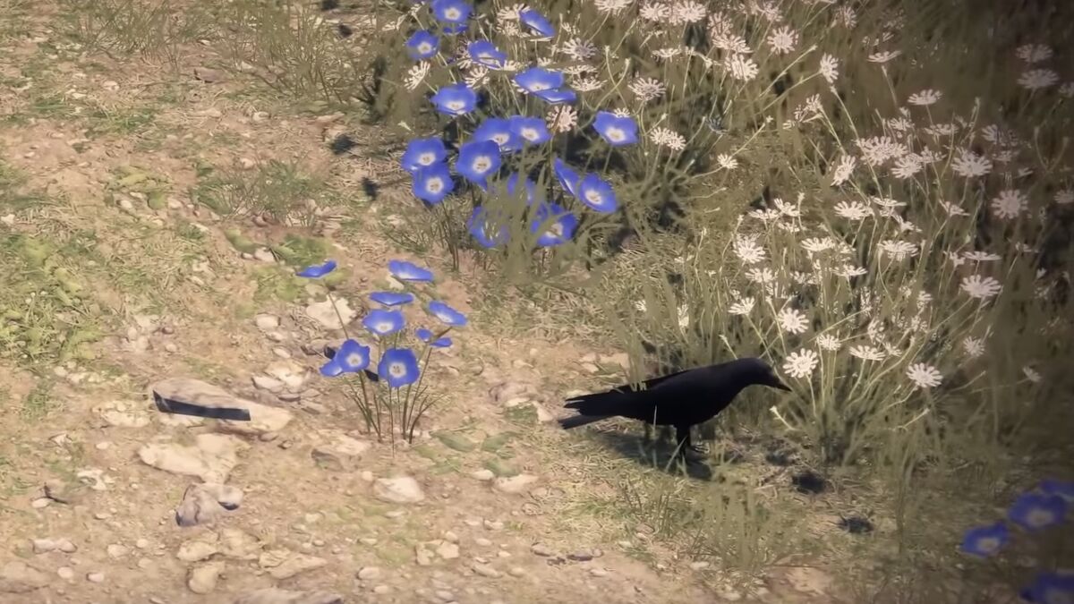 File:EarthRaven.jpg - Destinypedia, the Destiny wiki