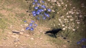 List of animals - Destinypedia, the Destiny wiki