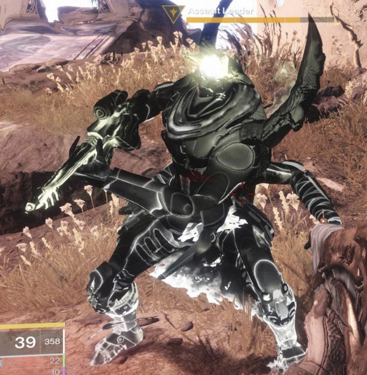 Assault Leader - Destinypedia, the Destiny wiki