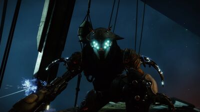 Skiffiks, Privateer - Destinypedia, the Destiny wiki