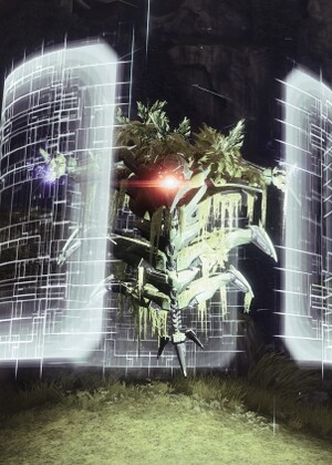 Warden of the Witness - Destinypedia, the Destiny wiki