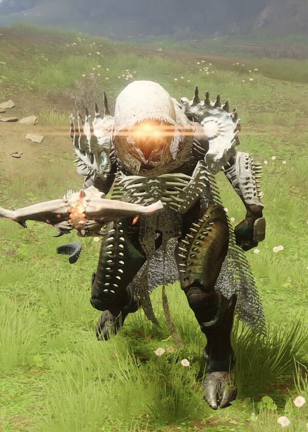 Rune-Cursed Lightbearer - Destinypedia, the Destiny wiki