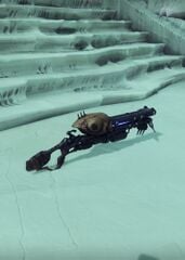 Scorn Rifle - Destinypedia, the Destiny wiki