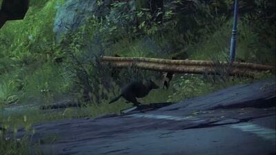 List of animals - Destinypedia, the Destiny wiki