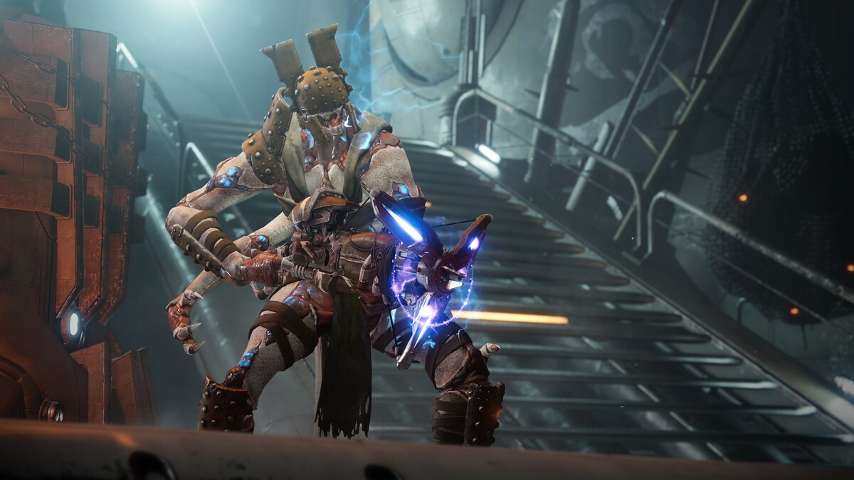 Raider - Destinypedia, the Destiny wiki