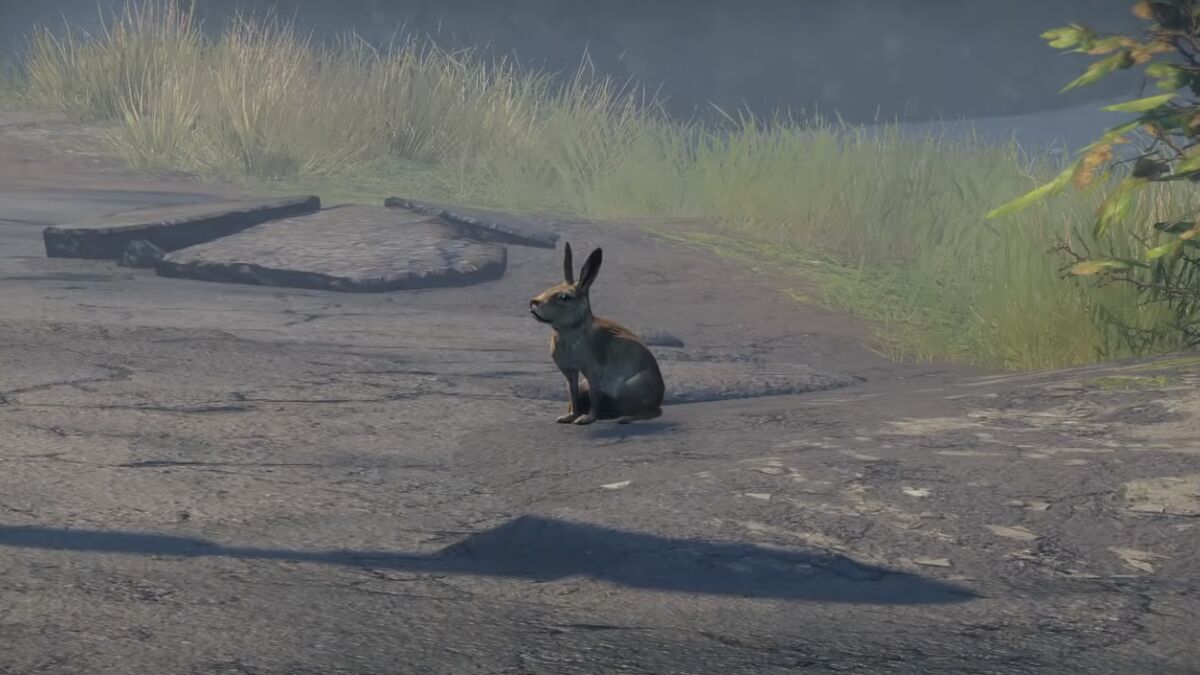 File:EarthRabbit.jpg - Destinypedia, the Destiny wiki