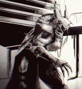 Captain - Destinypedia, the Destiny wiki