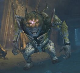 Ogre - Destinypedia, the Destiny wiki