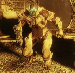 Acolyte - Destinypedia, the Destiny wiki