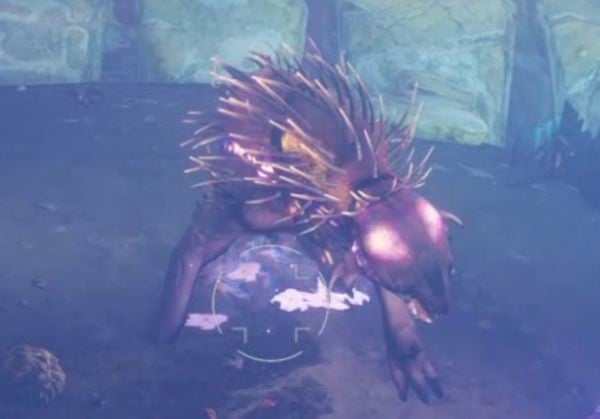 Forum:Psionic War Beast - Destinypedia, the Destiny wiki