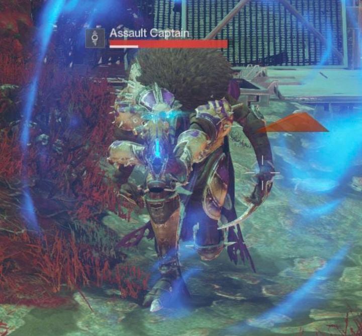 Assault Captain - Destinypedia, the Destiny wiki