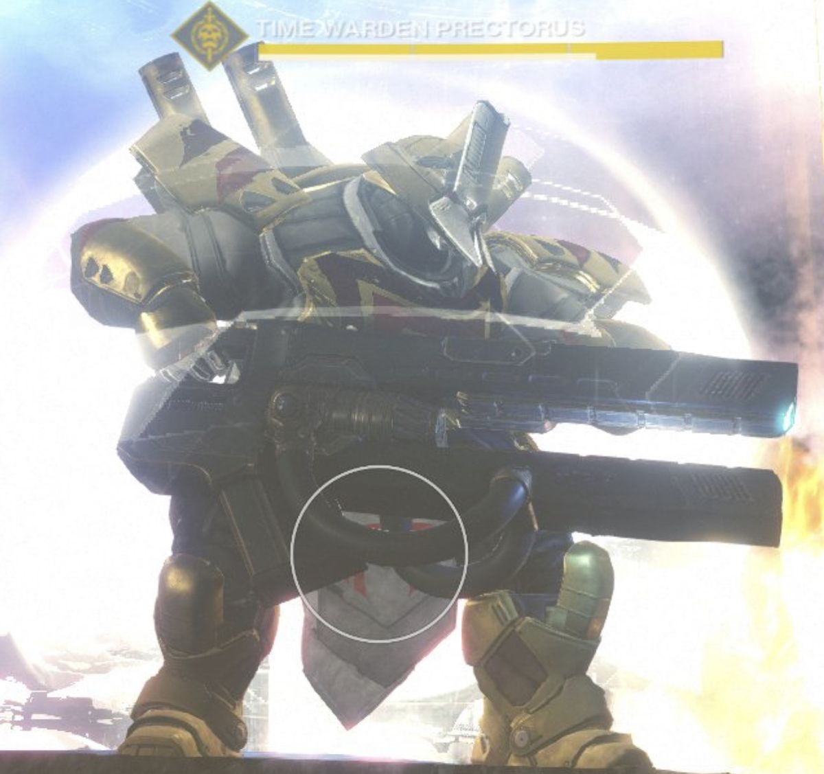 Time Warden Prectorus - Destinypedia, the Destiny wiki