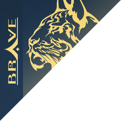 BRAVE Arsenal - Destinypedia, the Destiny wiki