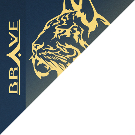 BRAVE Arsenal - Destinypedia, the Destiny wiki