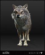 Category:Images of Wolves - Destinypedia, the Destiny wiki