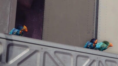 List of animals - Destinypedia, the Destiny wiki