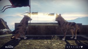 Category:Images of Wolves - Destinypedia, the Destiny wiki