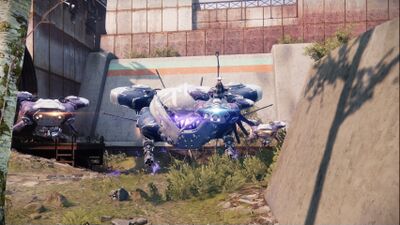 Ransack Shank - Destinypedia, the Destiny wiki