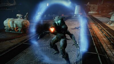 Skiffiks, Privateer - Destinypedia, the Destiny wiki