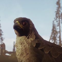 List of animals - Destinypedia, the Destiny wiki