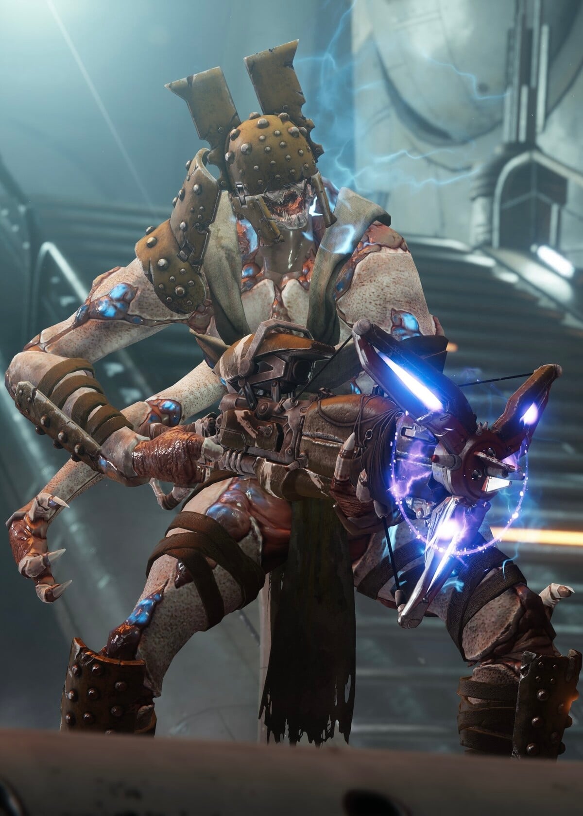 Raider - Destinypedia, the Destiny wiki