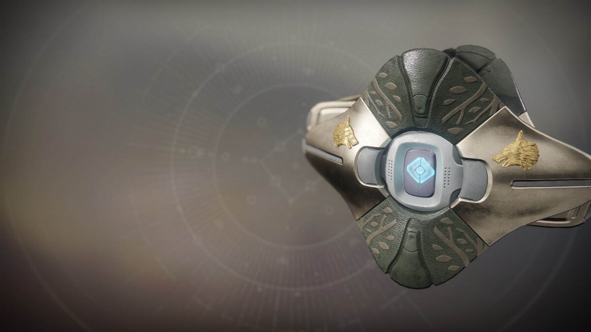 Iron Companionship Shell - Destinypedia, the Destiny wiki