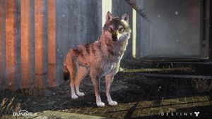 Category:Images of Wolves - Destinypedia, the Destiny wiki