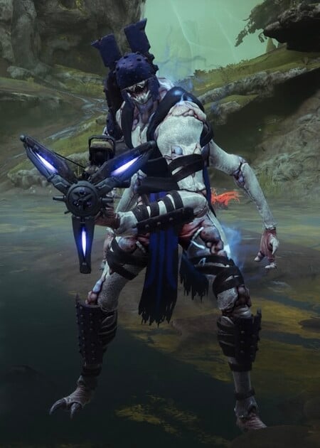 Raider - Destinypedia, the Destiny wiki