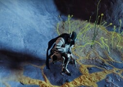 Orin - Destinypedia, the Destiny wiki