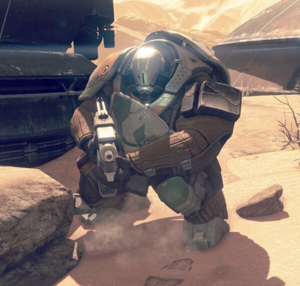 Legionary - Destinypedia, the Destiny wiki