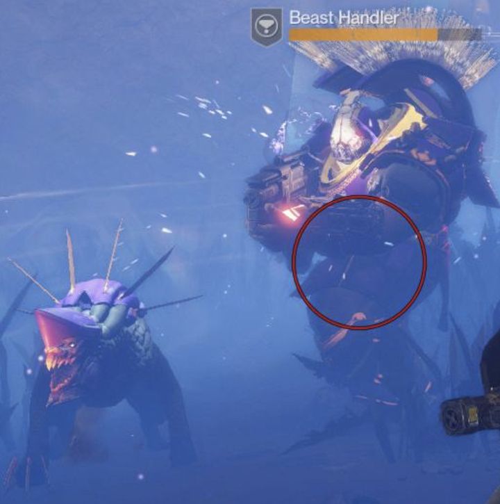 Beast Handler - Destinypedia, the Destiny wiki