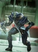 Acolyte - Destinypedia, the Destiny wiki