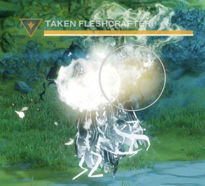 Taken Fleshcrafter - Destinypedia, the Destiny wiki