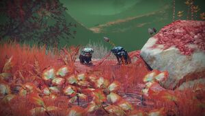 List of animals - Destinypedia, the Destiny wiki