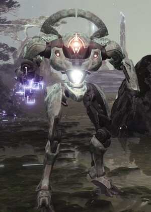 Warden of the Witness - Destinypedia, the Destiny wiki