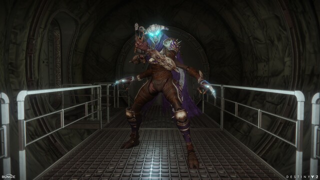 Destiny Fallen Vandal