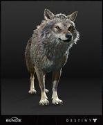 Category:Images of Wolves - Destinypedia, the Destiny wiki