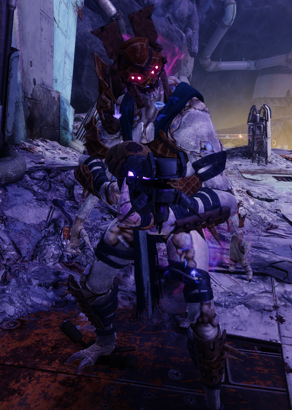 Raider - Destinypedia, the Destiny wiki