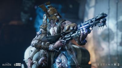 Raider - Destinypedia, the Destiny wiki