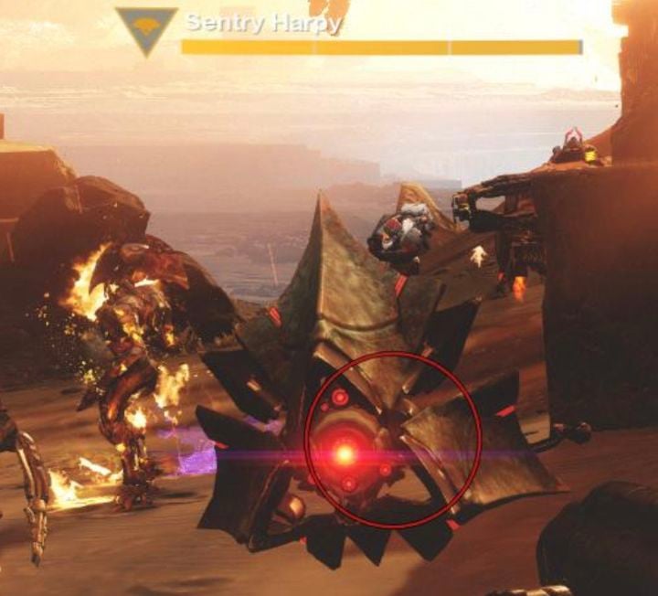 Sentry Harpy - Destinypedia, the Destiny wiki