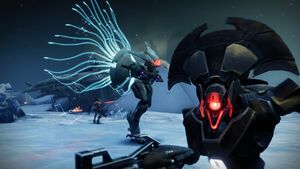 Wyvern Venator - Destinypedia, the Destiny wiki