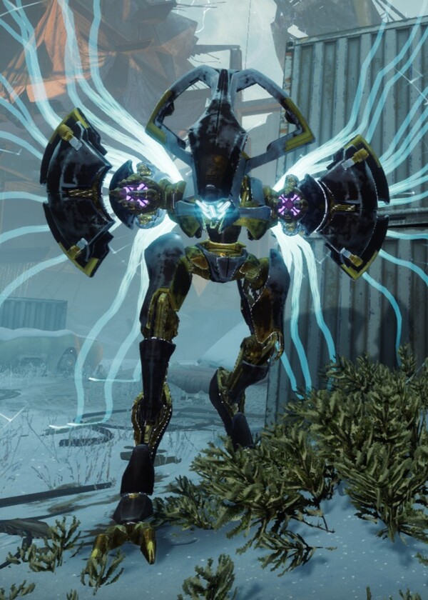 Data Warden - Destinypedia, the Destiny wiki
